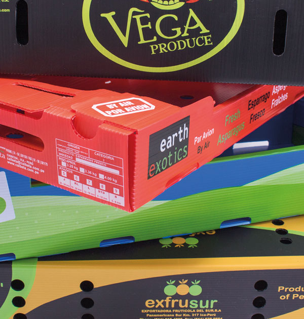 Macchinari per produzione lastre alveolari in PP e HDPE - BG Plast